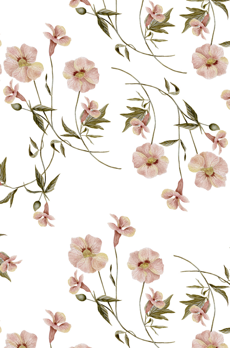 Primrose Wallpaper | Spring Field Poetry – Anewall